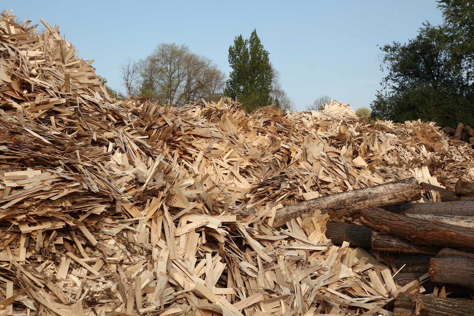 Wood-waste-pile.jpg