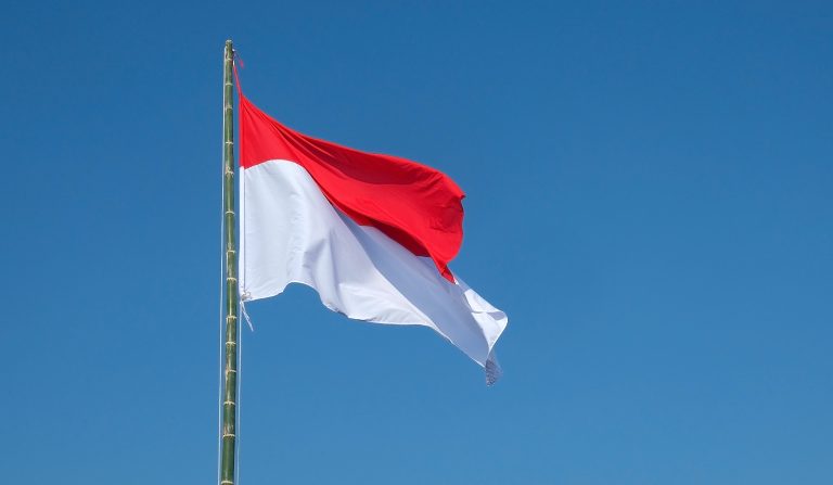 Joint study to explore biomethane production from POME | Bioenergy ...