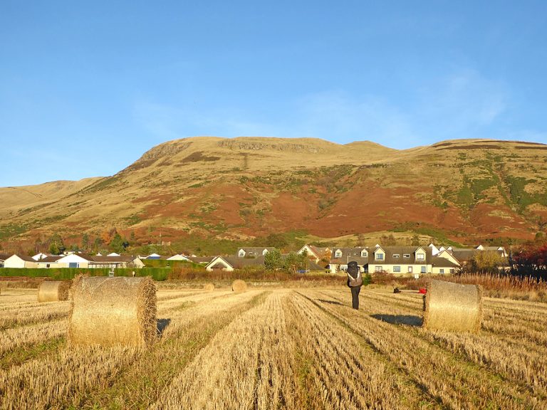 Scottish authorities investigating dust from Markinch biomass plant ...