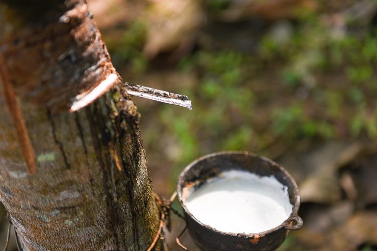Kuraray aims to build liquid rubber plant in US | Bioenergy Insight ...