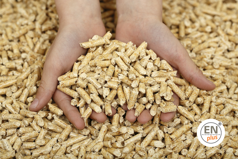 ENplus® publishes new documentation after finalising revision process ...