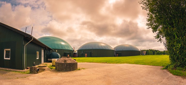 Kenya setting up standards for biogas packaging | Bioenergy Insight ...