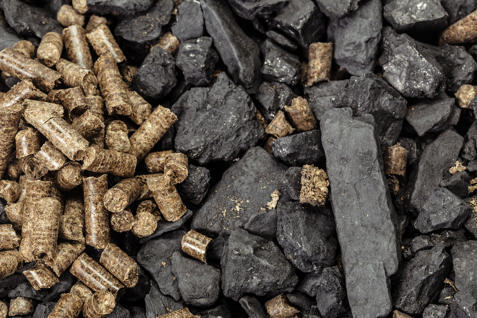 bigstock-Coal-And-Biomass-Pellet-Objec-289487194.jpg