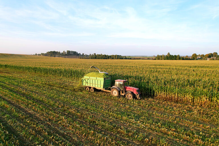 Cleantech company Minnova announces positive biomass gasification test ...