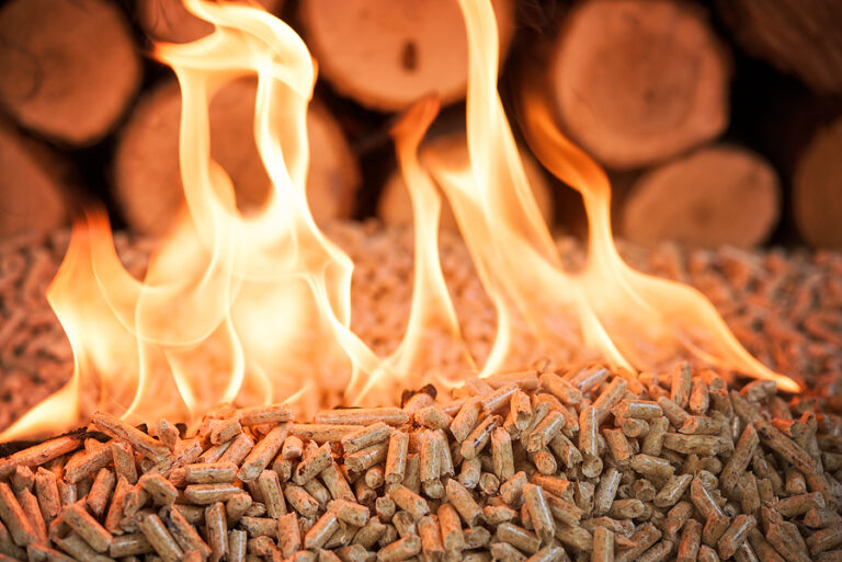 Marubeni and Taisei build wood-based biomass plant in Hokkaido, Japan ...