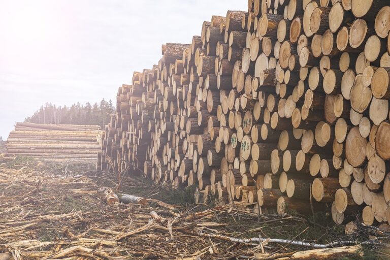 Canadian government invests $35m in biomass generation facility ...