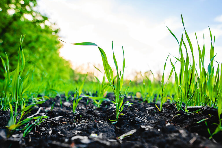 US government to provide $1 billion for rural renewable energy ...