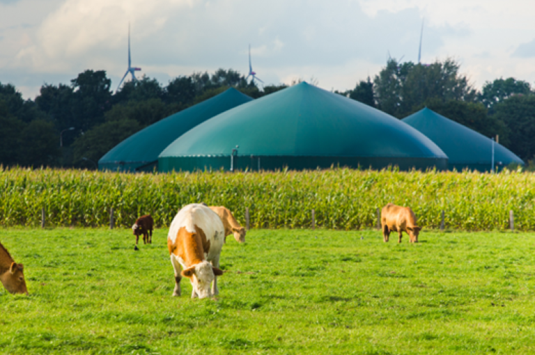 Australia’s Victorian government announces $8m bioenergy fund ...