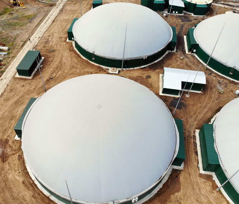 Geo Biogas and Prumo sign MoU for Port of Açu biogas plant | Bioenergy ...