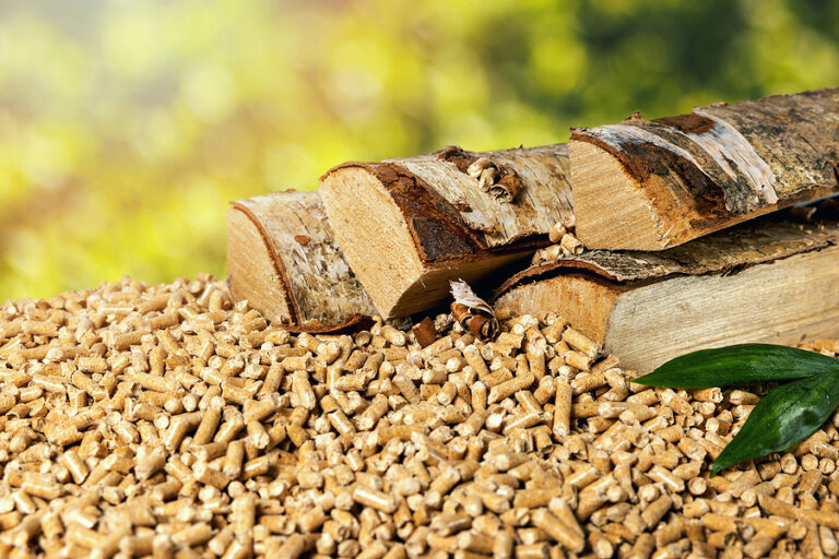 Canada extends federal tax credits to waste biomass harnessed for ...