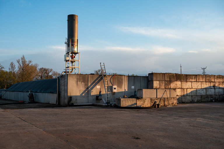 Bulgarian cellulose producer commissions biomass installation ...