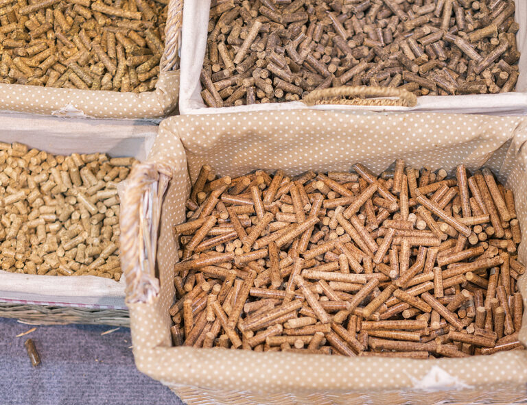 China, Japan and Singapore "look to Malaysia" for biomass projects ...