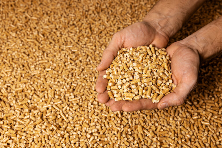 Ofgem concludes assessment of Sustainable Biomass Program Standards ...