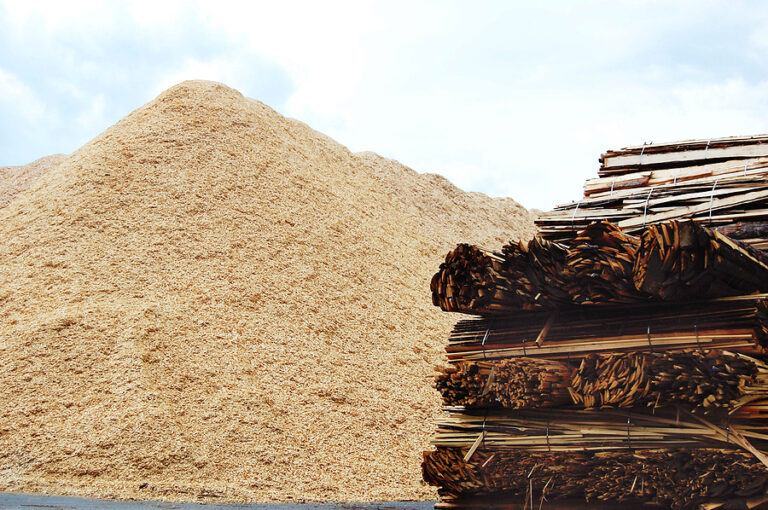 Over 97% of UK waste wood processed in 2023, says WRA | Bioenergy ...