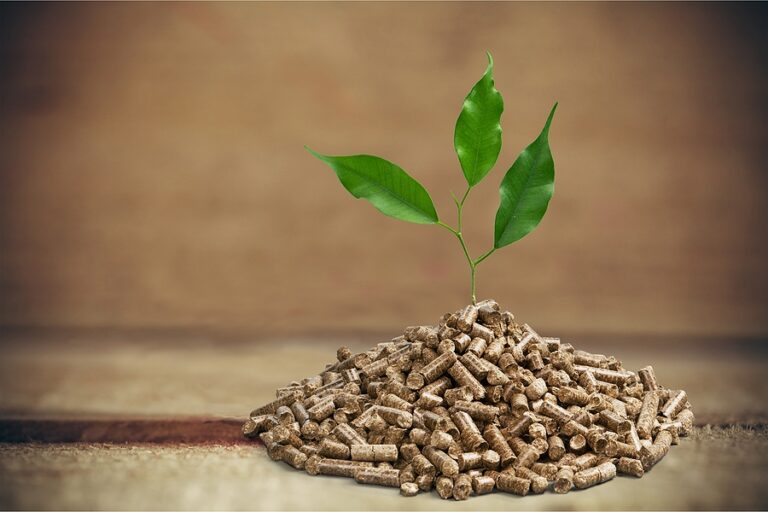 Renova reschedules Omaezakikou biomass plant launch - Bioenergy Insight ...