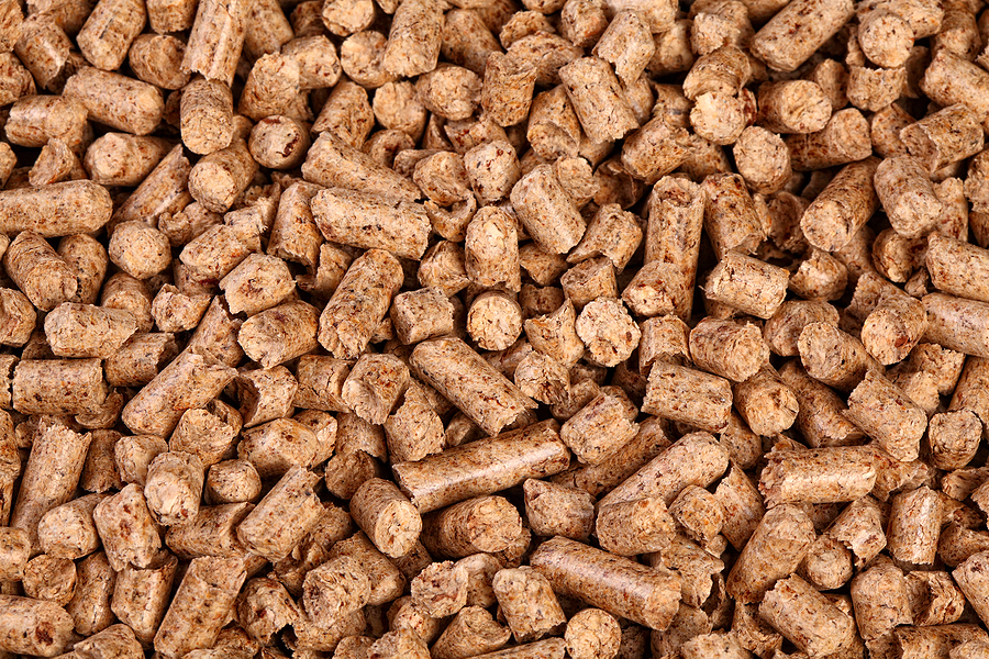 Czech government announces €20 million biomass scheme - Bioenergy ...