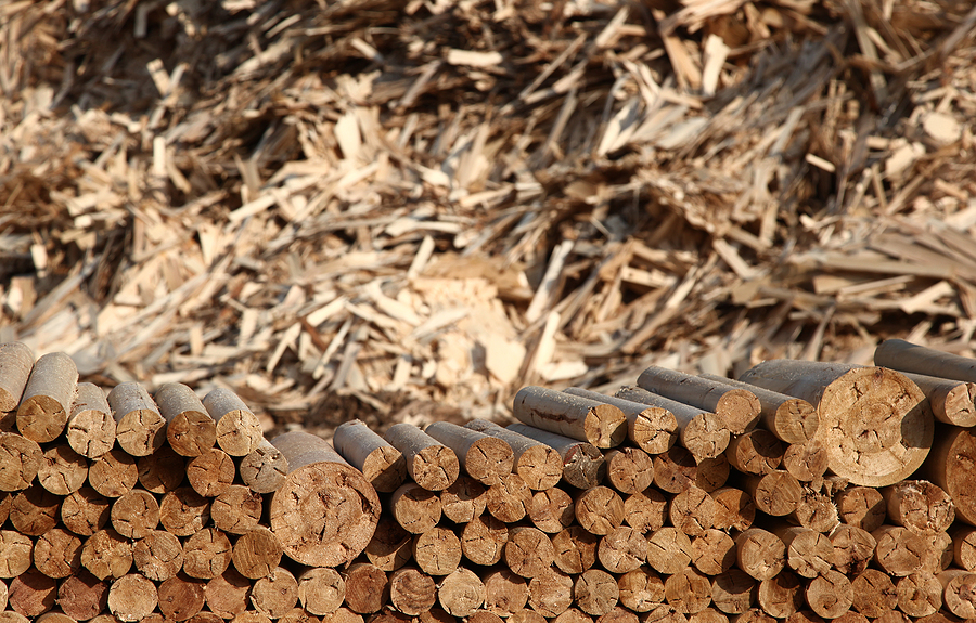 UK waste wood market thrives in 2024