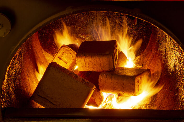 Piramal Pharma turns to biomass | Bioenergy Insight Magazine