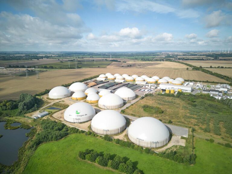 EnviTec Biogas to focus on chicken manure-to-biogas in US market ...