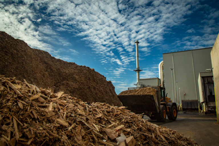 Evero announces strongest quarter to date for exported biomass plant ...