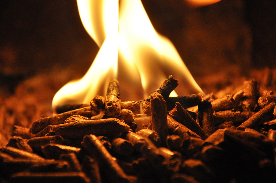 Technology provider Valmet has been selected to deliver a biomass-fired ...