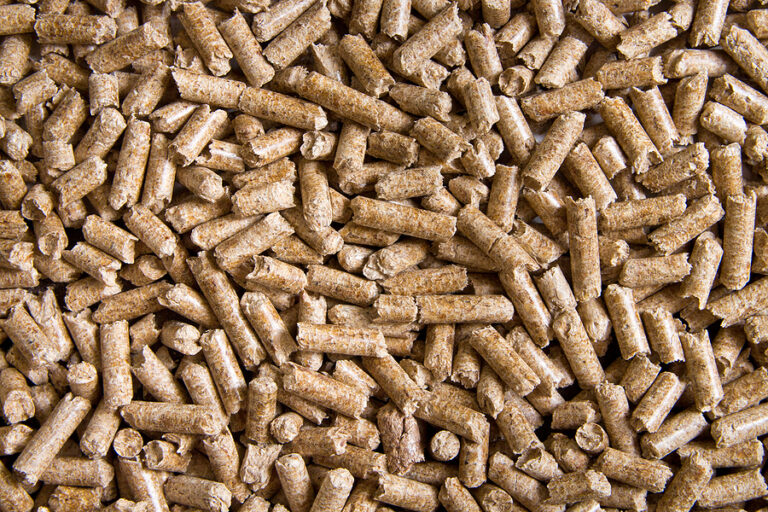 Community survey highlights concerns over wood pellet pollution in US ...