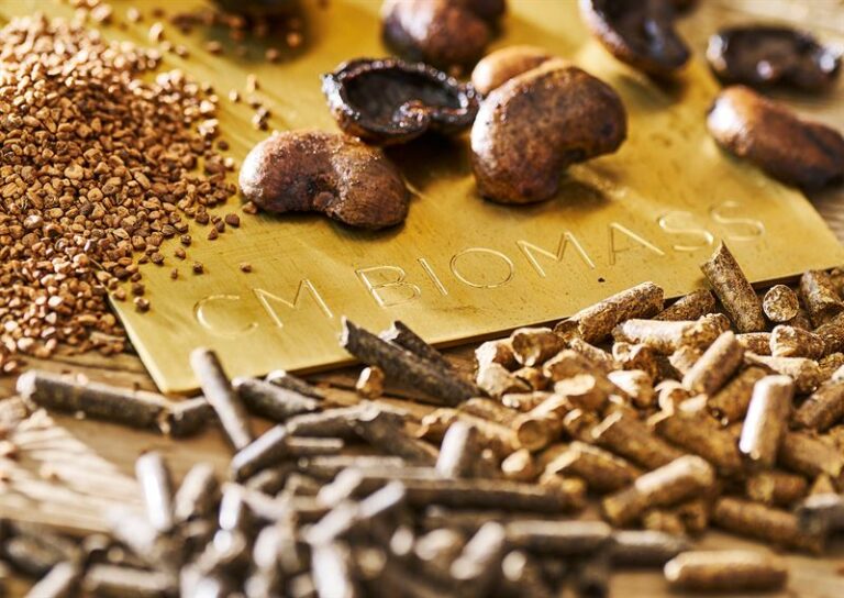 CM Biomass maintains strong market position despite industry headwinds ...